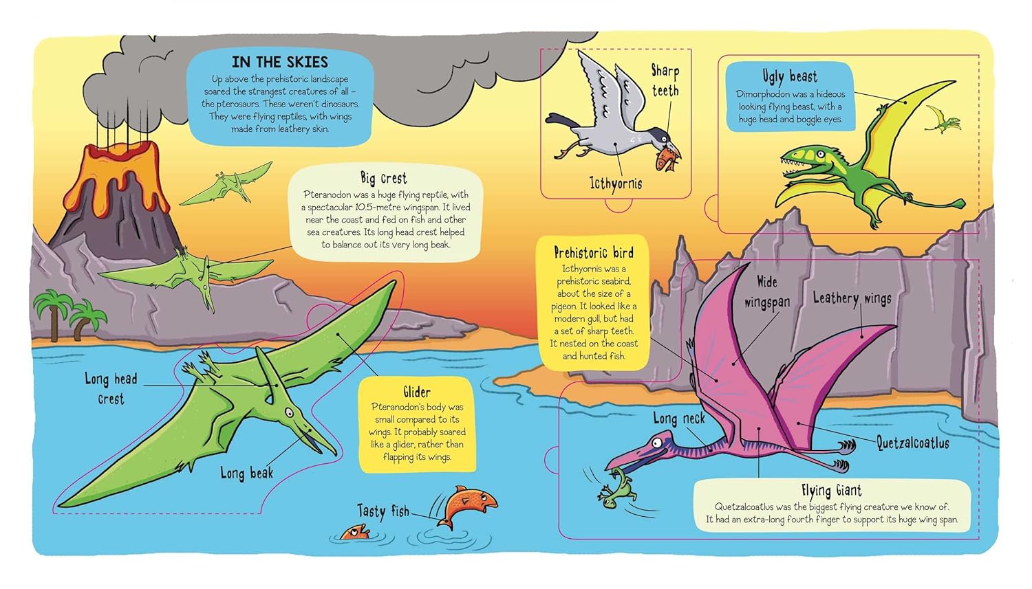 Little Explorers: Dinosaurs Flap Book