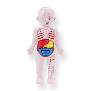 Educational Toys